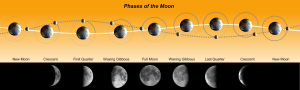 Directional Navigation Using the Moon | Outdoor Herbivore Blog