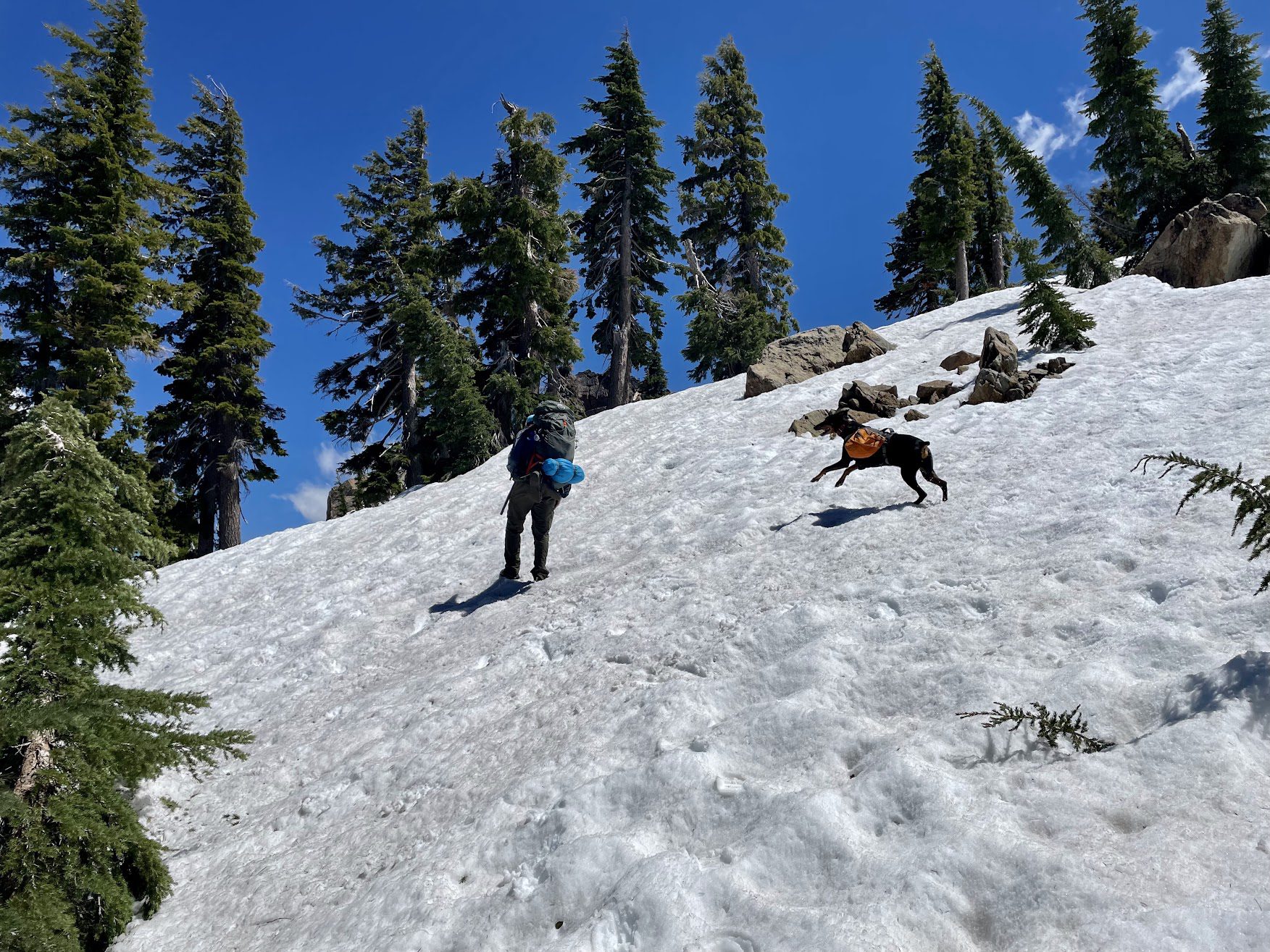 10 Steps to Restful Sleep Backpacking in the Backcountry | Outdoor ...