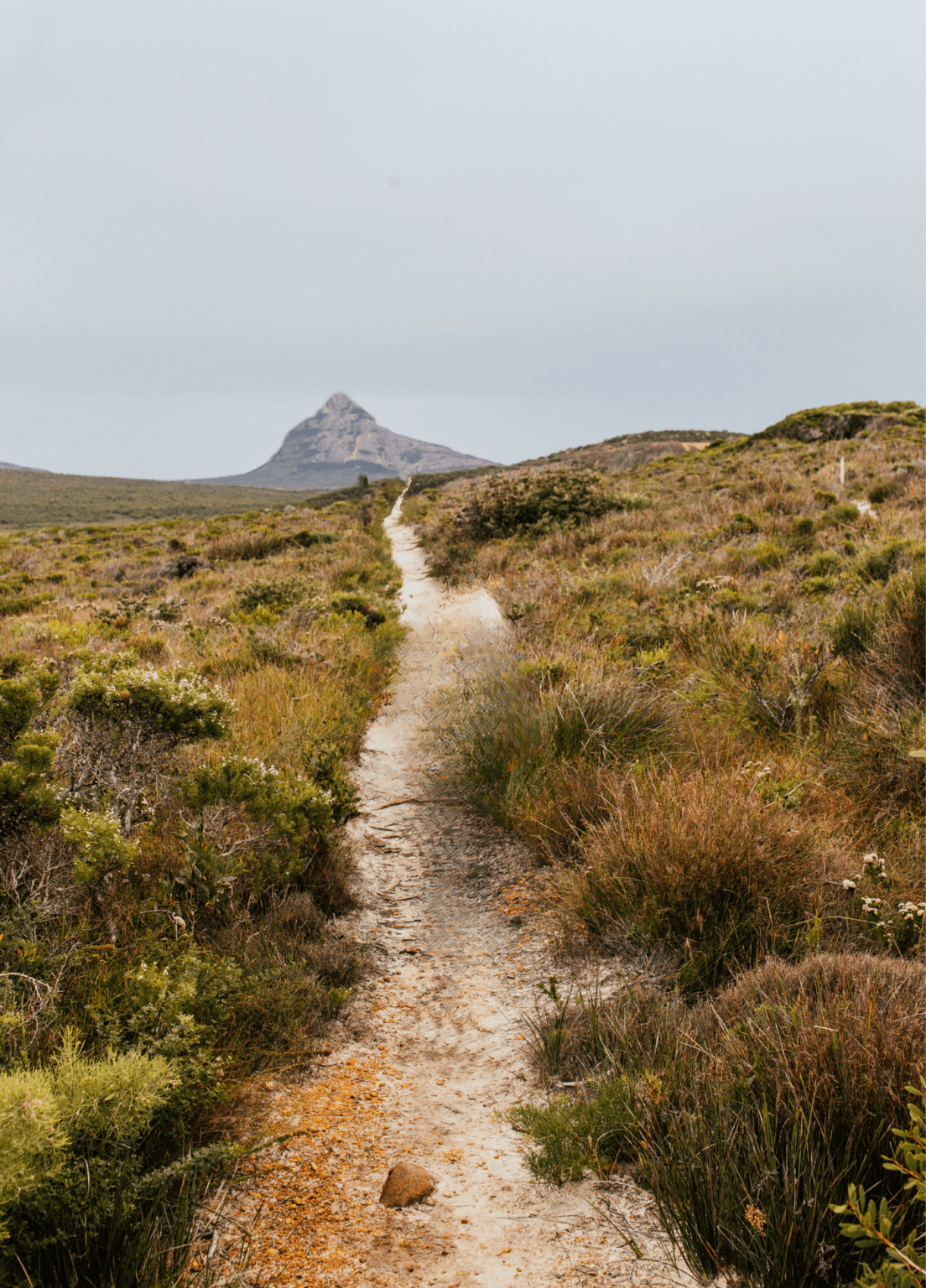 How to estimate distance using your finger | Outdoor Herbivore Blog