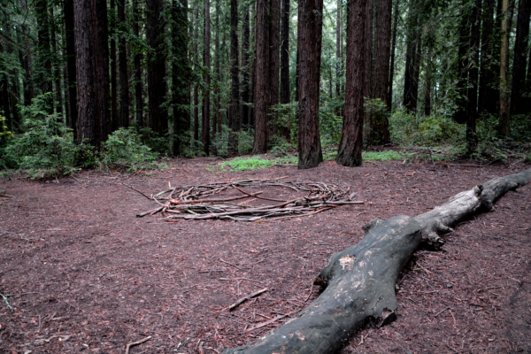 Why we walk in circles when lost | Outdoor Herbivore Blog