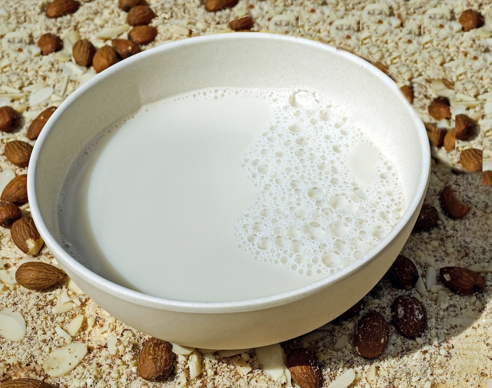 Powdered Non Dairy Milks for the Trail | Outdoor Herbivore Blog