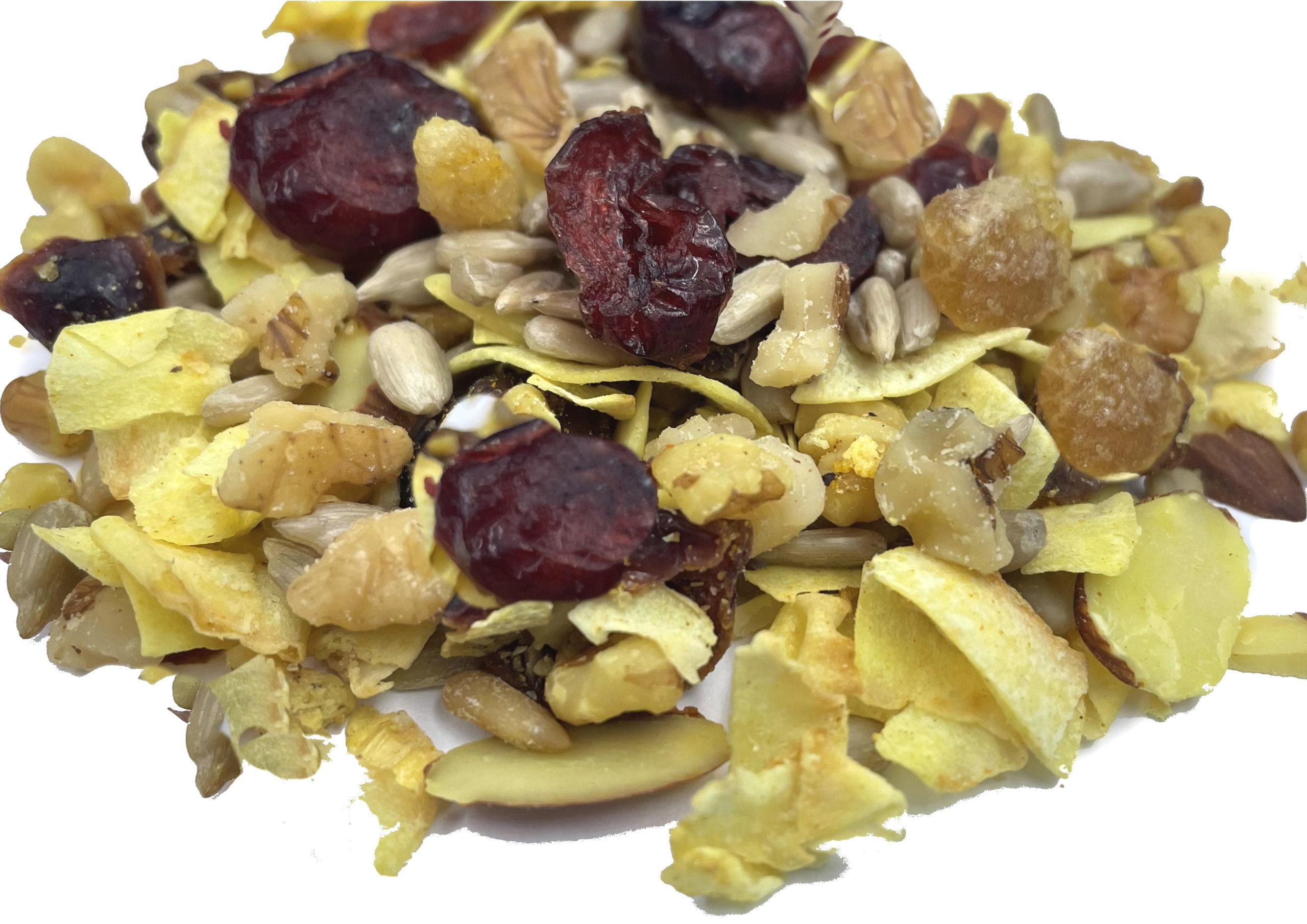 ginger berry fusion snack | Outdoor Herbivore Blog